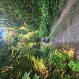 Rathdrum Mountain Trail, Idaho - 323 Reviews, Map | AllTrails