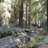 Bootjack Loop, California - 1,989 Reviews, Map | AllTrails