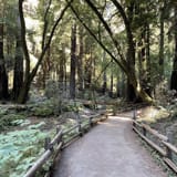 Bootjack Loop, California - 1,989 Reviews, Map | AllTrails