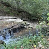 Saunders Springs Reservoir Loop, Kentucky - 129 Reviews, Map | AllTrails
