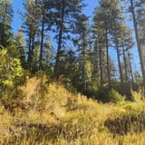 Rathdrum Mountain Trail, Idaho - 323 Reviews, Map | AllTrails