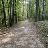 Iron Hill Loop, Georgia - 5,501 Reviews, Map | AllTrails