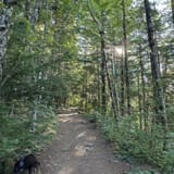 Ira Spring Memorial Trail, Washington - 2,403 Reviews, Map | AllTrails