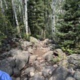 Cub Lake Loop, Colorado - 2,306 Reviews, Map | AllTrails