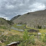 Cub Lake Loop, Colorado - 2,314 Reviews, Map | AllTrails