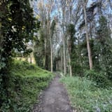 Bay Area Ridge Trail: San Francisco Presidio, California - 707 Reviews ...