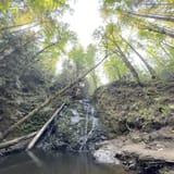 Dickerson Falls, Washington - 2,857 Reviews, Map | AllTrails