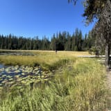 Fish Lake, Montana - 596 Reviews, Map | AllTrails