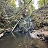 Dickerson Falls, Washington - 2,852 Reviews, Map | AllTrails