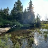 Dickerson Falls, Washington - 2,857 Reviews, Map | AllTrails