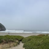 Trinidad Head/Tsurai Loop, California - 1,320 Reviews, Map | AllTrails