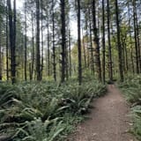 Lime Kiln Trail, Washington - 2,972 Reviews, Map | AllTrails