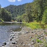 Wilson River Trail, Oregon - 822 Reviews, Map | AllTrails