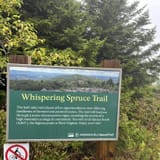 Spruce Knob via Huckleberry Trail, West Virginia - 447 Reviews, Map ...