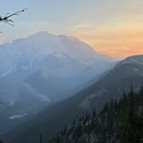 Silver Forest Trail, Washington - 565 Reviews, Map | AllTrails