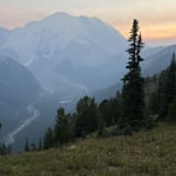 Silver Forest Trail, Washington - 565 Reviews, Map | AllTrails