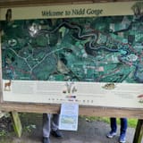 Knaresborough, Nidd Gorge, and Old Bilton Circular, North Yorkshire ...