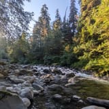 Ancient Groves Nature Trail, Washington - 914 Reviews, Map | AllTrails
