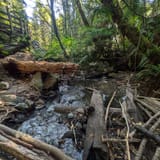 Madison Falls Trail, Washington - 2,118 Reviews, Map | AllTrails