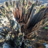 Madison Falls Trail, Washington - 2,127 Reviews, Map | AllTrails