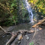 Madison Falls Trail, Washington - 2,118 Reviews, Map | AllTrails
