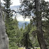 Barr Camp via Barr Trail, Colorado - 1,426 Reviews, Map | AllTrails
