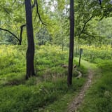 Windolph Landing Preserve Trail, Pennsylvania - 95 Reviews, Map | AllTrails