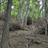 Windolph Landing Preserve Trail, Pennsylvania - 95 Reviews, Map | AllTrails