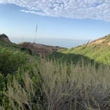 Forrestal Preserve Loop, California - 1,206 Reviews, Map | AllTrails