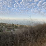 Forrestal Preserve Loop, California - 1,206 Reviews, Map | AllTrails