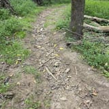 Windolph Landing Preserve Trail, Pennsylvania - 95 Reviews, Map | AllTrails