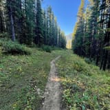 Raspberry Ridge Lookout Loop, Alberta, Canada - 602 Reviews, Map ...