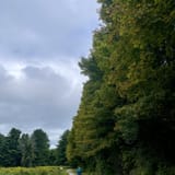 Hooksett Riverwalk Trail, New Hampshire - 200 Reviews, Map | AllTrails