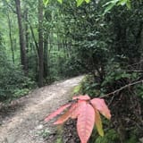The Pinnacle via Ridgeline Trail and Boulders Access, North Carolina ...