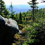 Crane Mountain Loop Hike, New York - 1,440 Reviews, Map | AllTrails