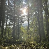 Tradition Lake Loop Trail, Washington - 1,643 Reviews, Map | AllTrails