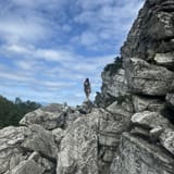 Bonticou Crag Trail, New York - 2,474 Reviews, Map | AllTrails
