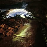 Maquoketa Caves Loop, Iowa - 1,279 Reviews, Map | AllTrails