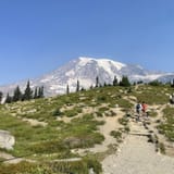Panorama Point via Skyline Trail, Washington - 6,058 Reviews, Map ...