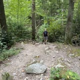 Mount Tammany and Sunfish Pond Loop, New Jersey - 1,175 Reviews, Map ...