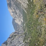 Mist Falls, California - 3,027 Reviews, Map | AllTrails