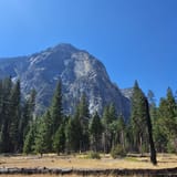 Mist Falls, California - 3,027 Reviews, Map | AllTrails