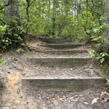 Crows Woods, New Jersey - 440 Reviews, Map | AllTrails