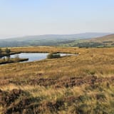 Nicky Nook Circular, Lancashire, England - 1,242 Reviews, Map | AllTrails