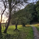 Nicky Nook Circular, Lancashire, England - 1,242 Reviews, Map | AllTrails