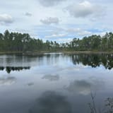 Green Swamp Preserve, North Carolina - 204 Reviews, Map | AllTrails