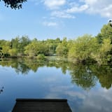 Brandon Marsh Nature Reserve Circular, West Midlands, England - 12 ...