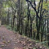 Trappist Abbey Guadalupe Loop, Oregon - 1,462 Reviews, Map | AllTrails