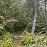 Busby Trail, Spruce Hill Lost Pond and Blackburnian Loop, Massachusetts ...