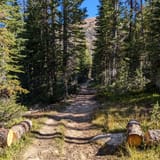 Clyde Lake Loop, Utah - 1,819 Reviews, Map | AllTrails